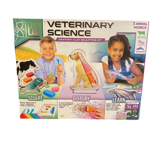 Toys | Epic Lab Vet Science Anatomy Clay Sculpting Stem Kit New | Poshmark